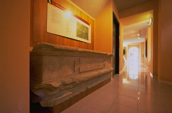 Musei e Archeologia